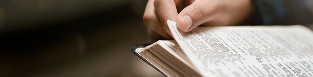 Peter’s Fall Step 7: A Rooster’s Cry and a Broken Heart - Biblestudy